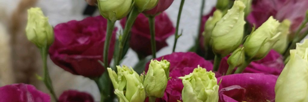 Алена Зинковская