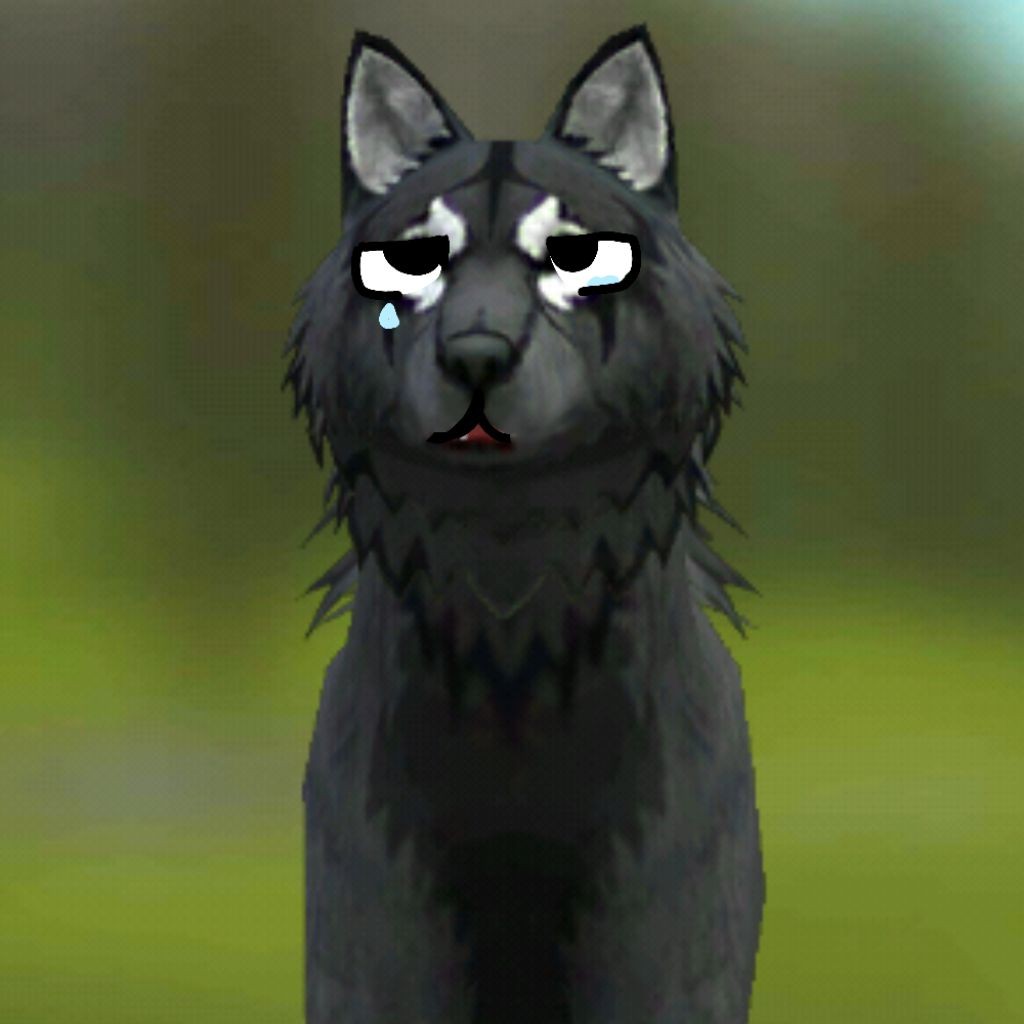 ★Элли ★ Вилдкрафт