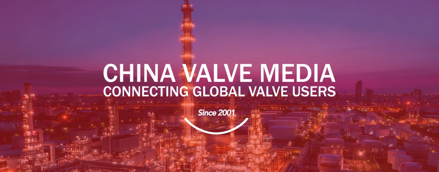 Prcvalve Media QI
