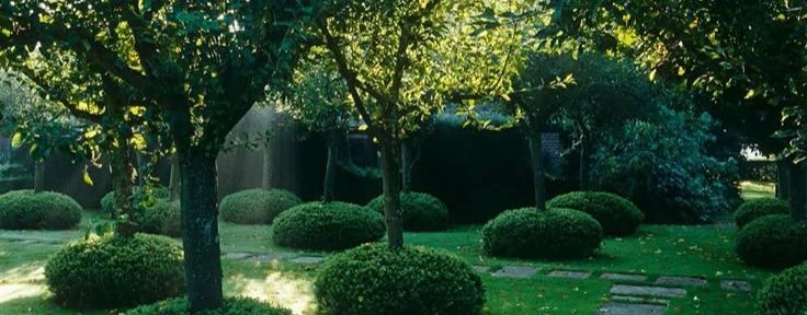 Наталья Скромная  Vlog