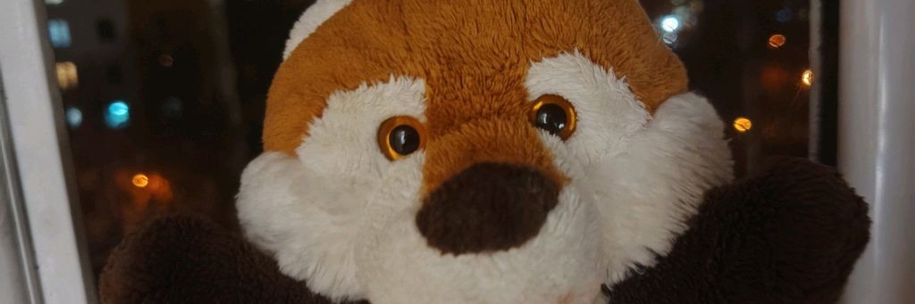 ⚔️    6  D    🗡️