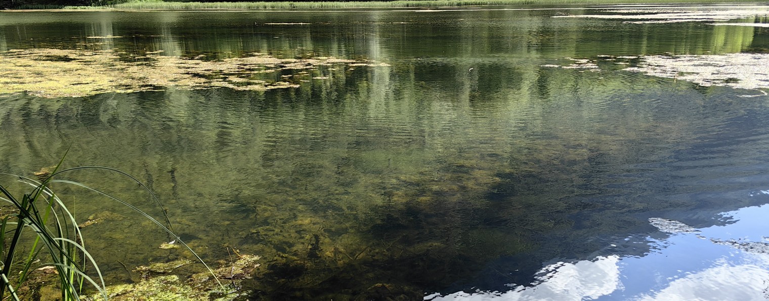 Авторский Калейдоскоп