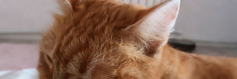 Ванёк аемборск