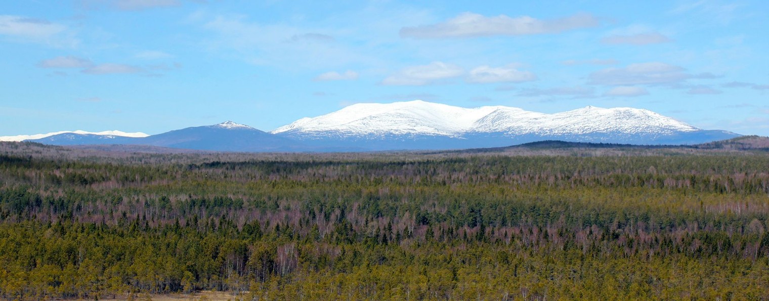 СЕВУР - ЧЕРЁМУХОВО