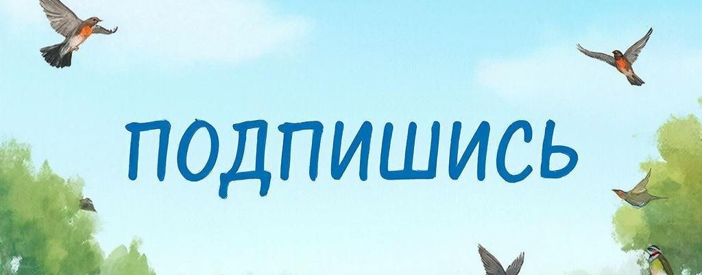 Kostay play - Костя плей