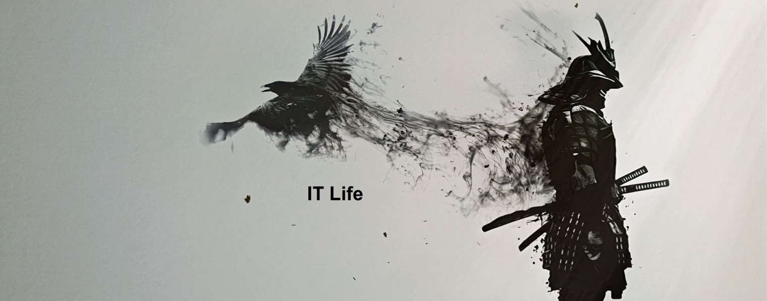 IT Life