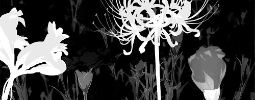 #шавхкопф🤦