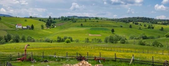 Моё подворье!!!