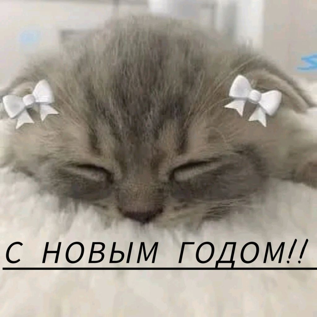 Усатый Рай:3🤳😺✔️