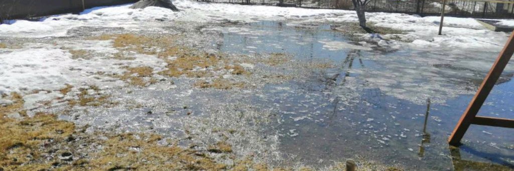 Владик и Савелий Весна