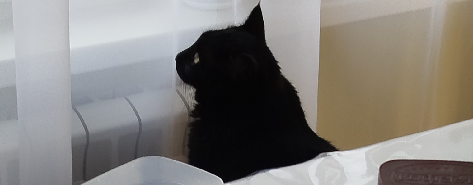 Династия Мау