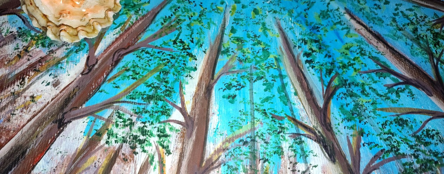 Очень разные хобби от Надежды.