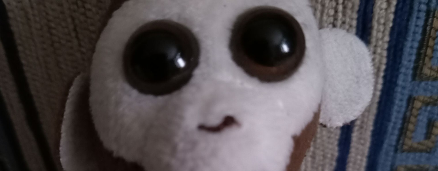 Масочник🔥 и Зиг🐒