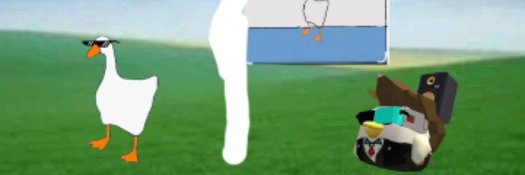 Гусь Аргентинский 🇦🇷🌶️🪿🇦🇷🌶️🪿🇦🇷🌶️🪿🇦🇷