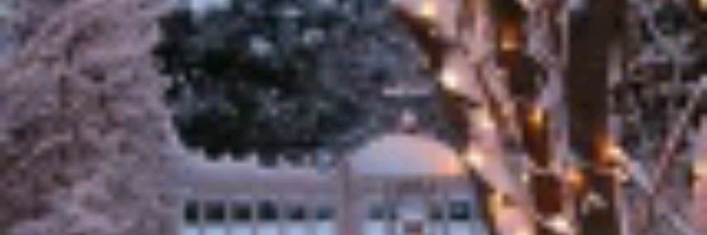 @ʅҽɾα αʋαƚαɾ ɯσɾʅԃ.