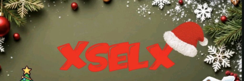 XSeLX