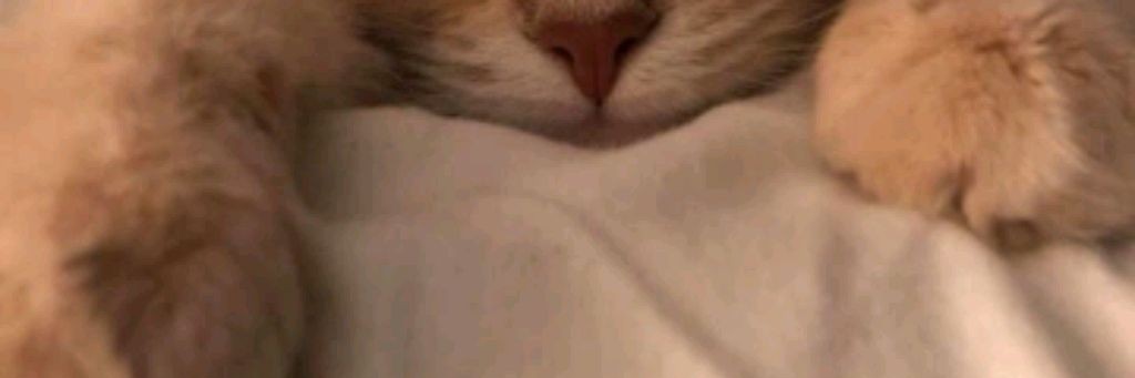 Еська С Кисточкой