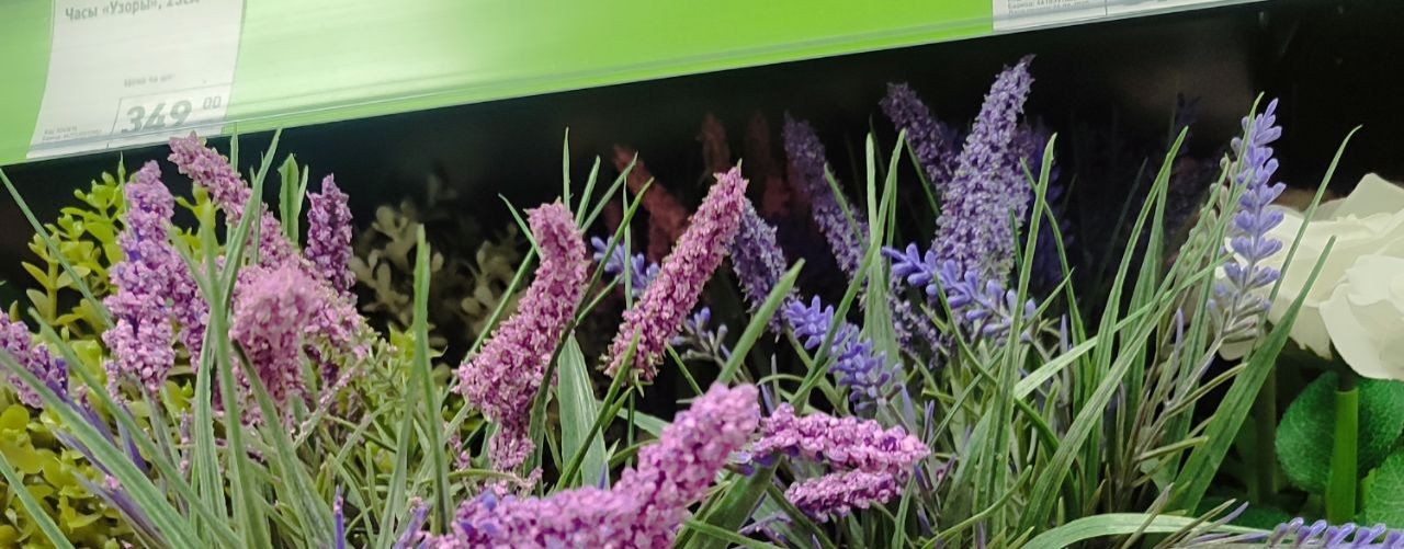 Lipetsk ЖИЗНЬ ЛИПЕЦК