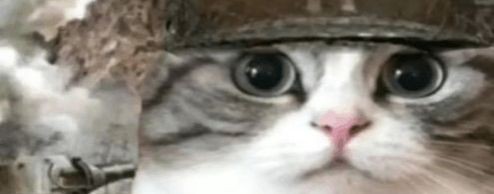 KOMARY_CS2_РЕПЛЕИ