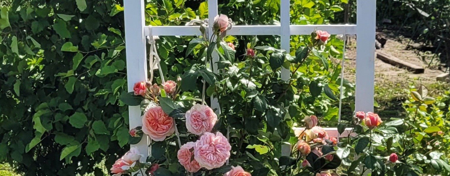 НаталиМурка