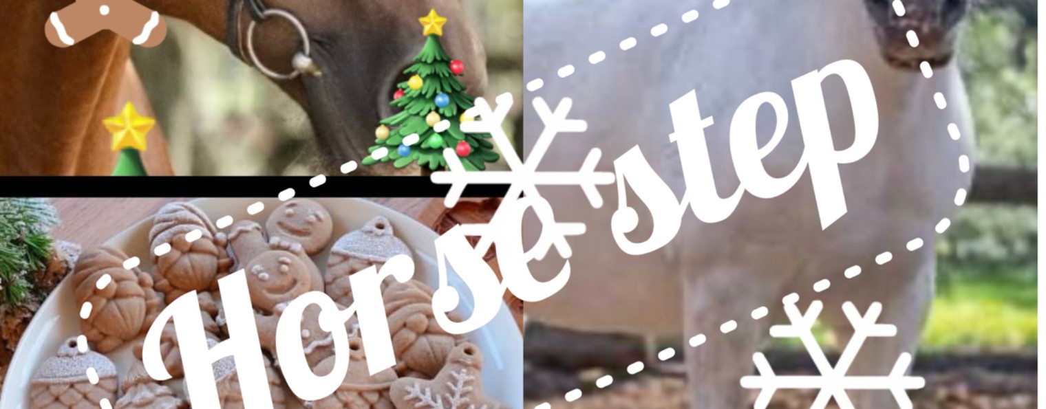 Horse Step - Лошади шляйх🐎🎥🔥