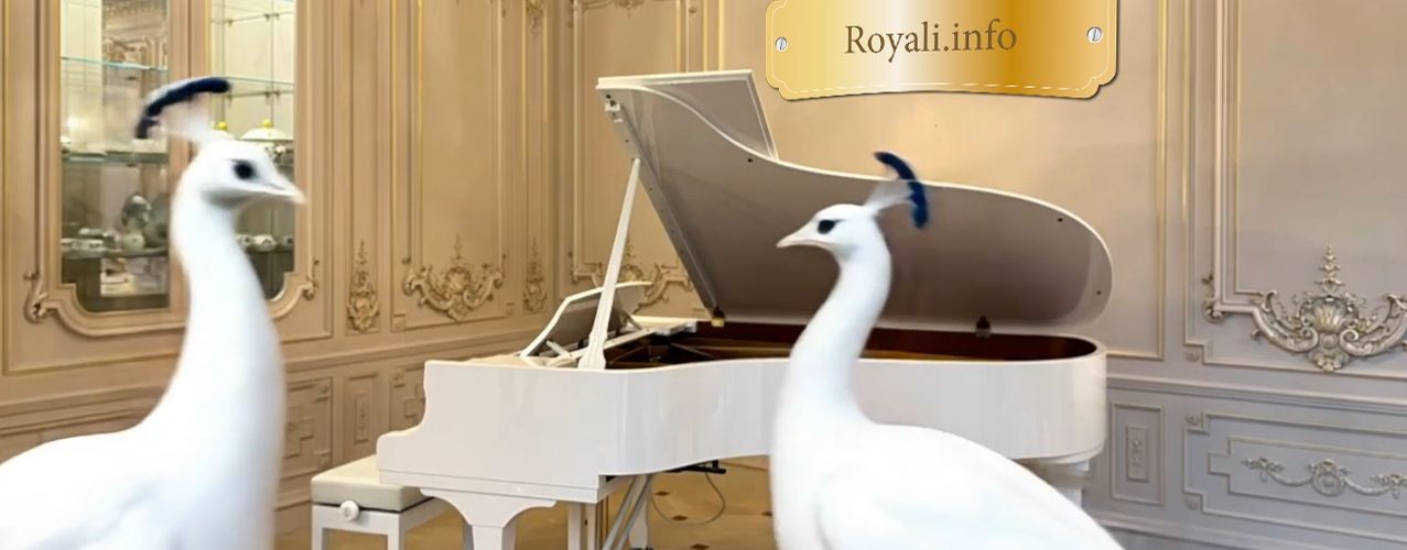 Рояли инфо