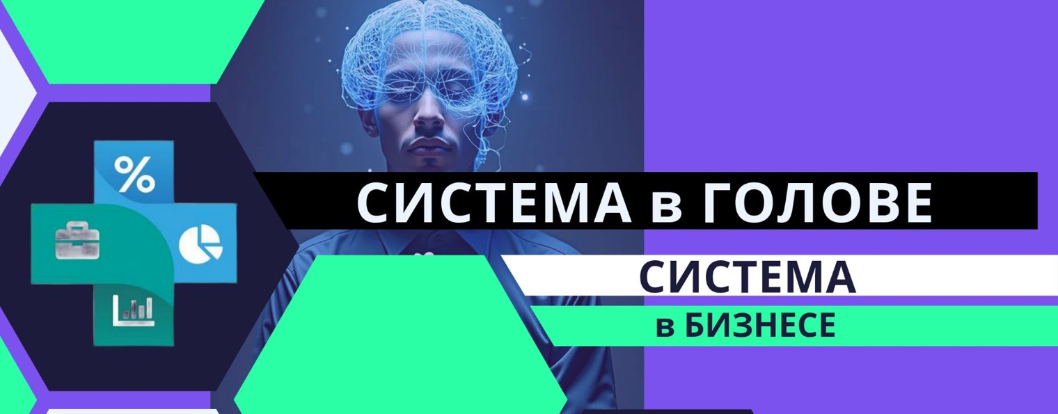 Системность CEO