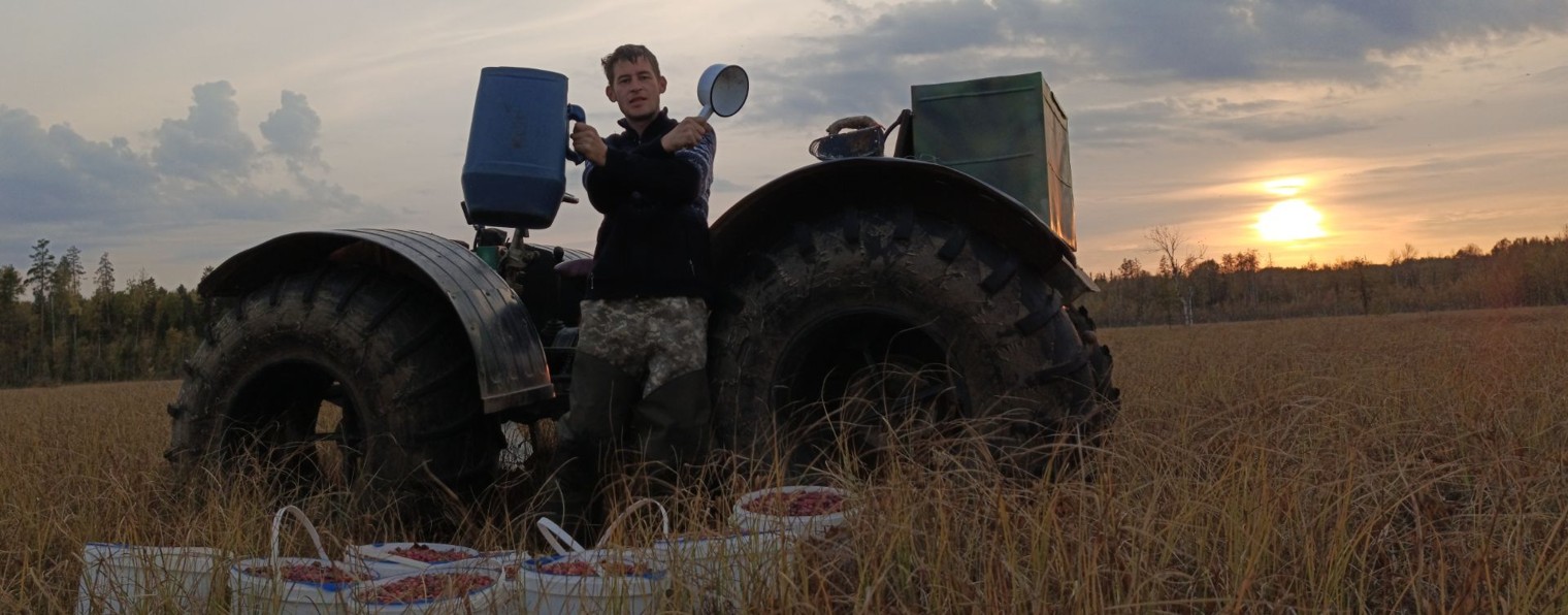 Память в цифре