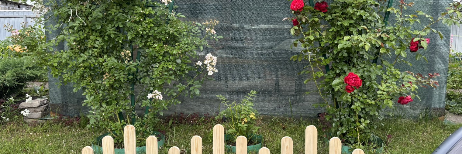 Андрей Ташлыков