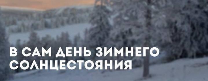 Моё Подворье