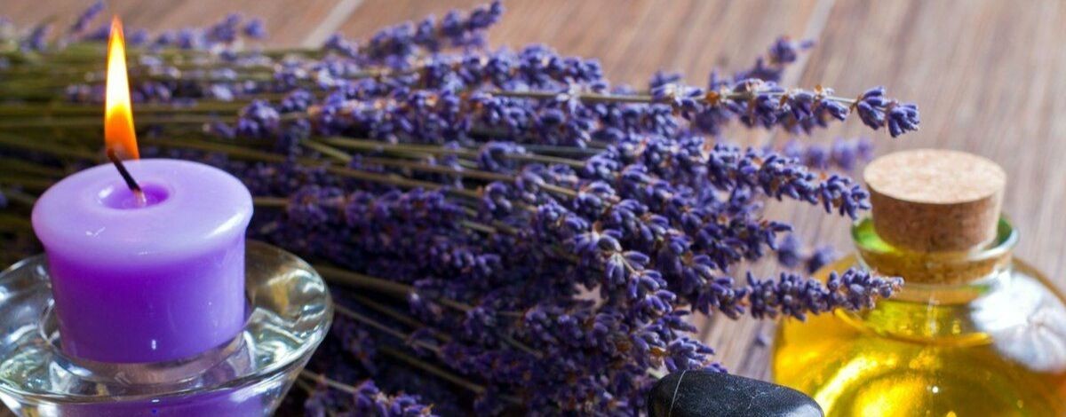 Кафедра реабилитации и активного долголетия. ЮСТО