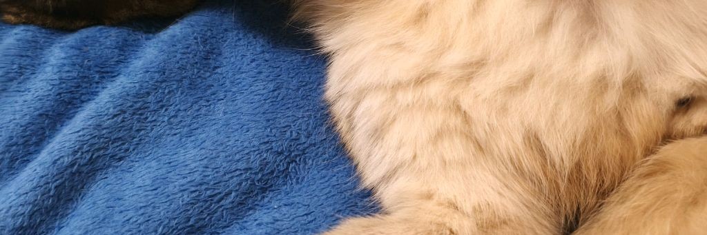 Я ТОП 1 ЛОХ РУТУБЕР