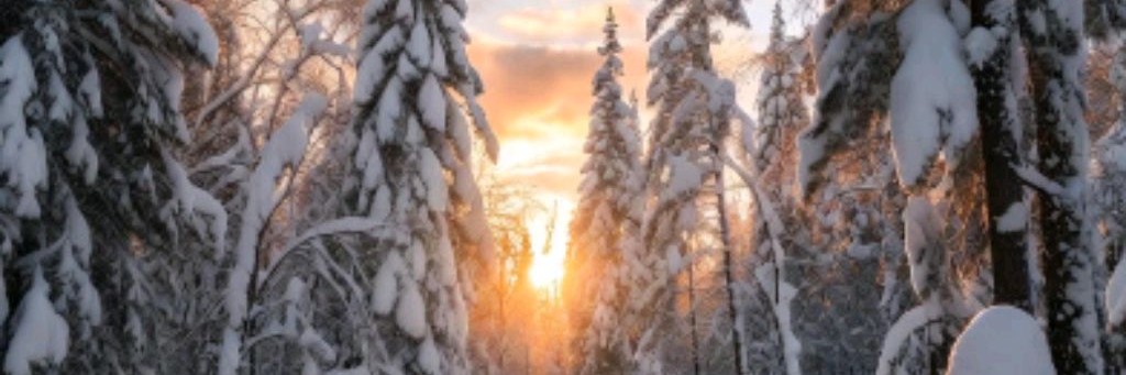 Дед Хипарь.