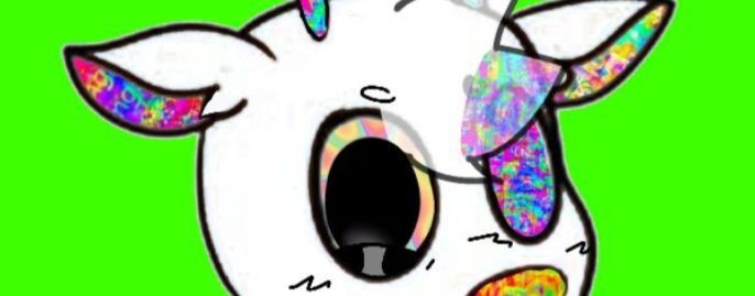 Zena dandy meowka 228