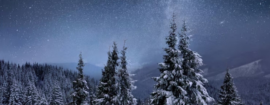 Тарорасклады SVEDA-YA