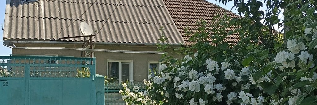 ~Котик_токсик💝