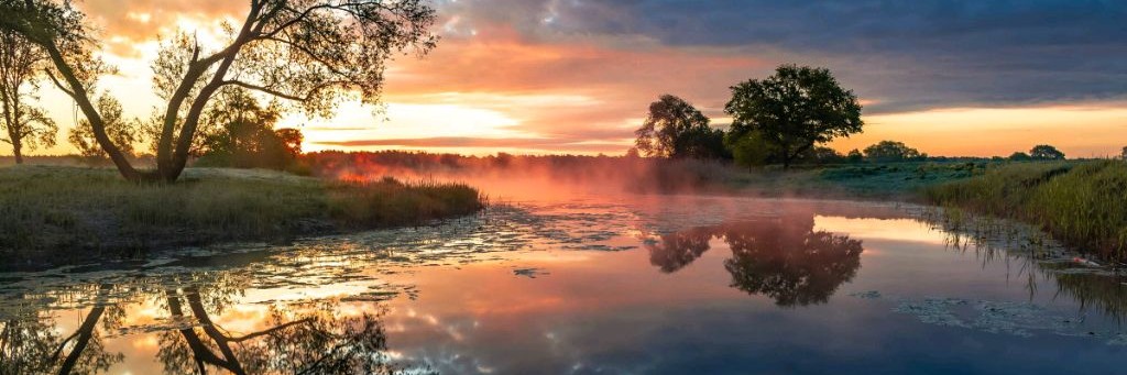 МИР ВОКРУГ НАС