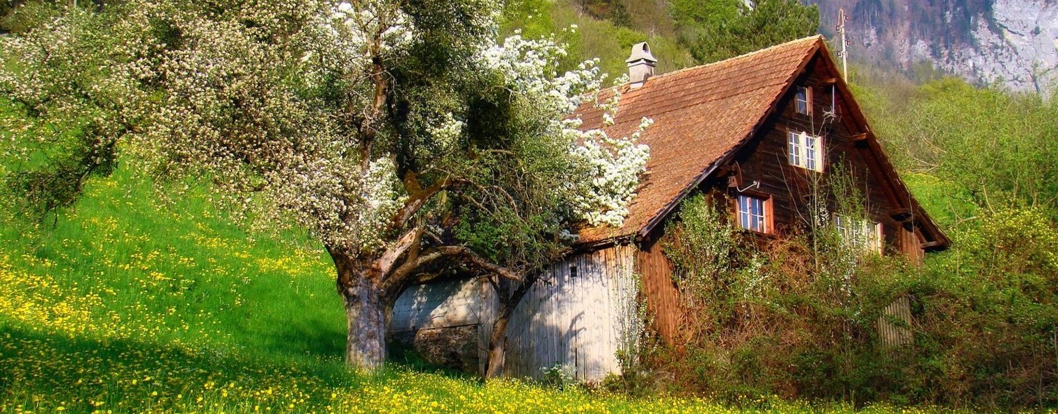 Рубленые Дома и Бани +7 499 343-61-85