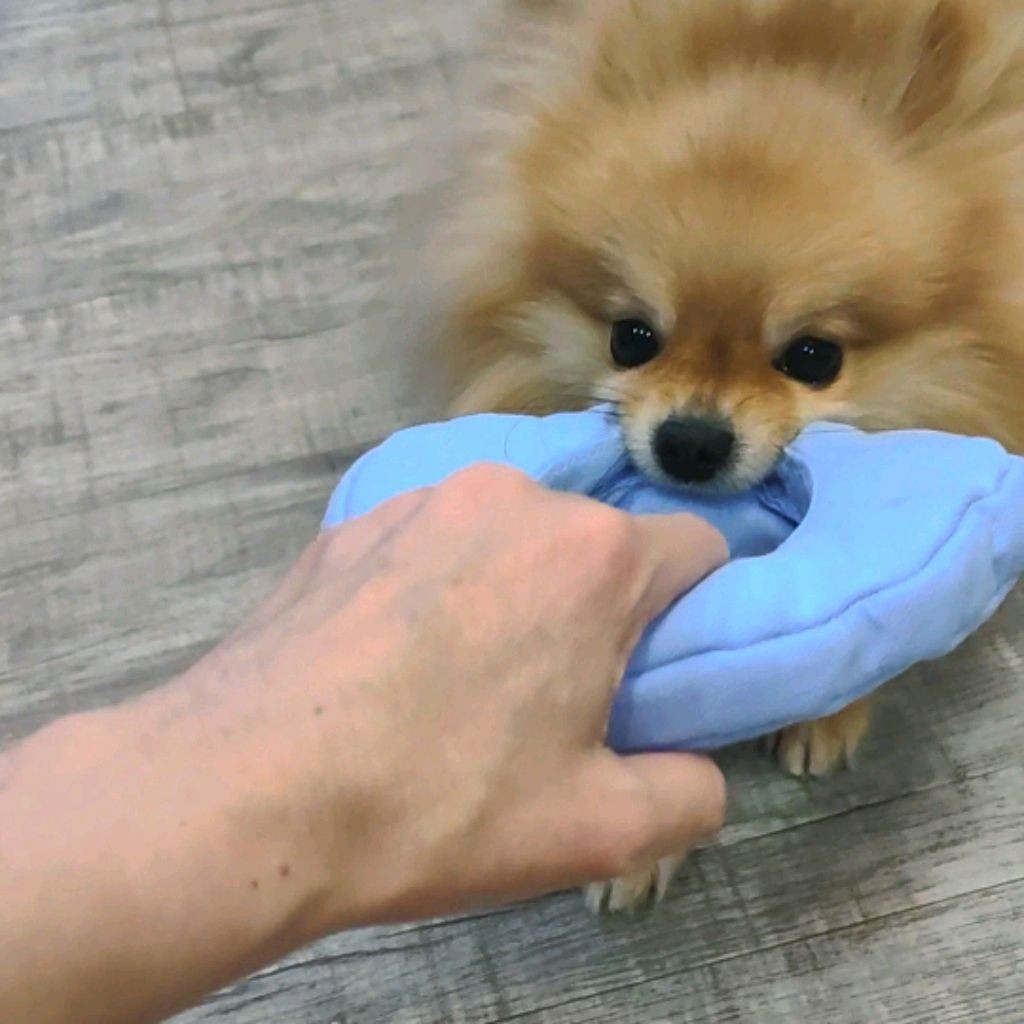 Бертотис