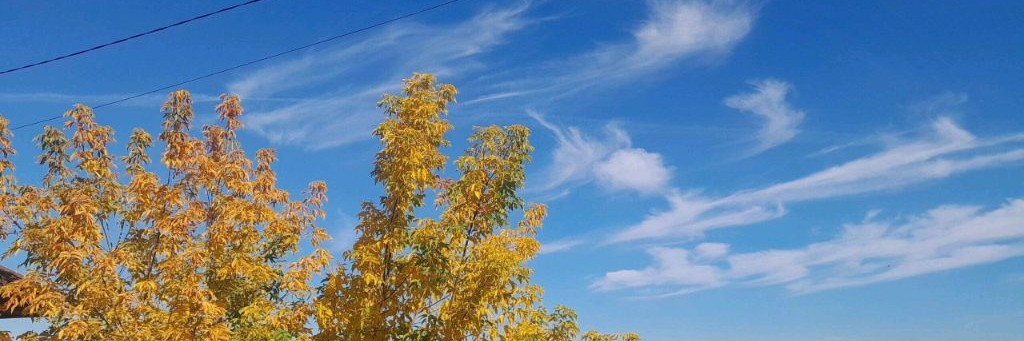 Мой Загородный дом