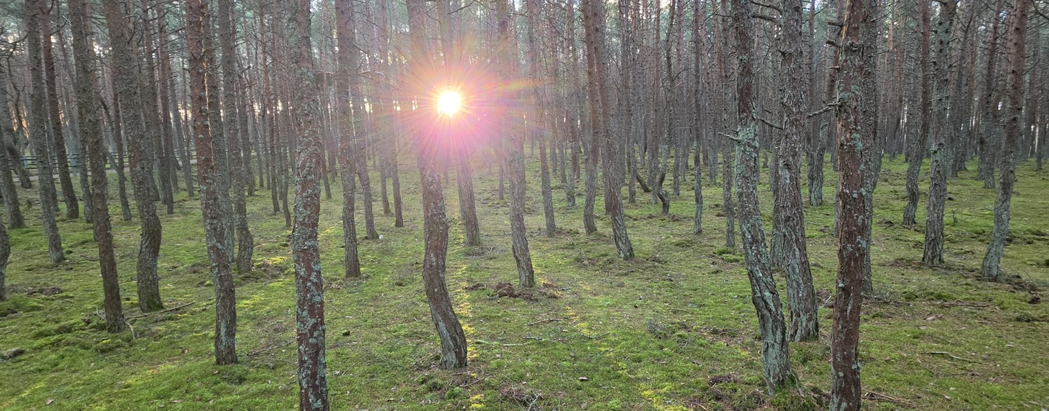 Психологический чердачок