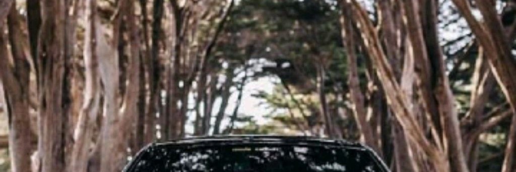 Артур Гучмазов