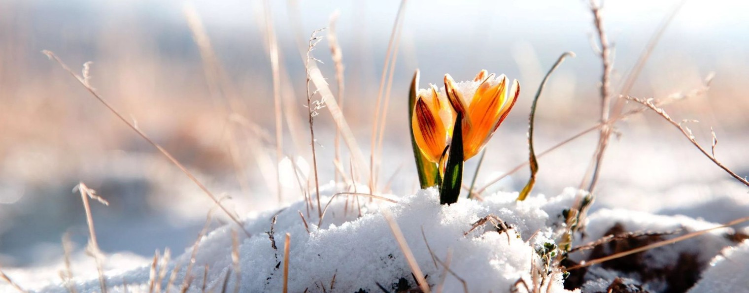 Юра Хорев (Slash'R)