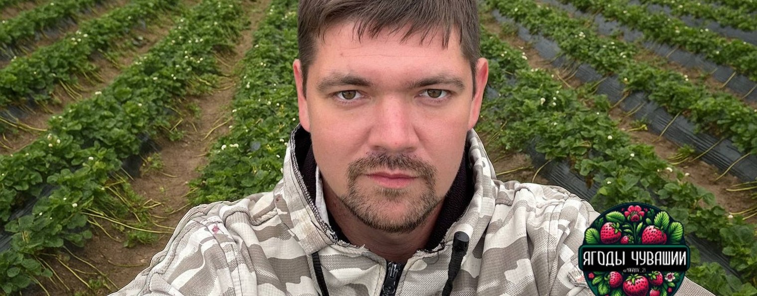 Ягоды Чувашии 🍓