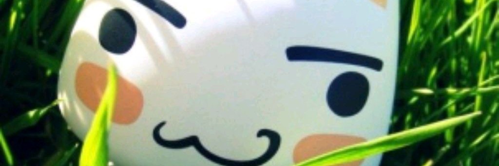 ^^🦖Shelly stor🦖^^