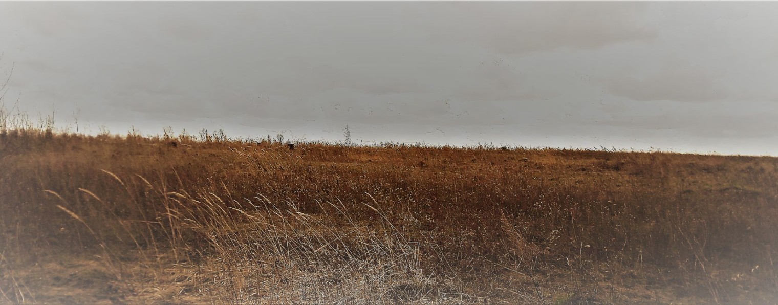 Только золото!