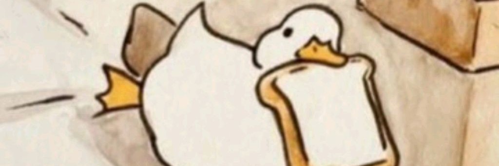 🪿🧡🤍🦝Гуси И... Еноты🦝🤍🧡🪿