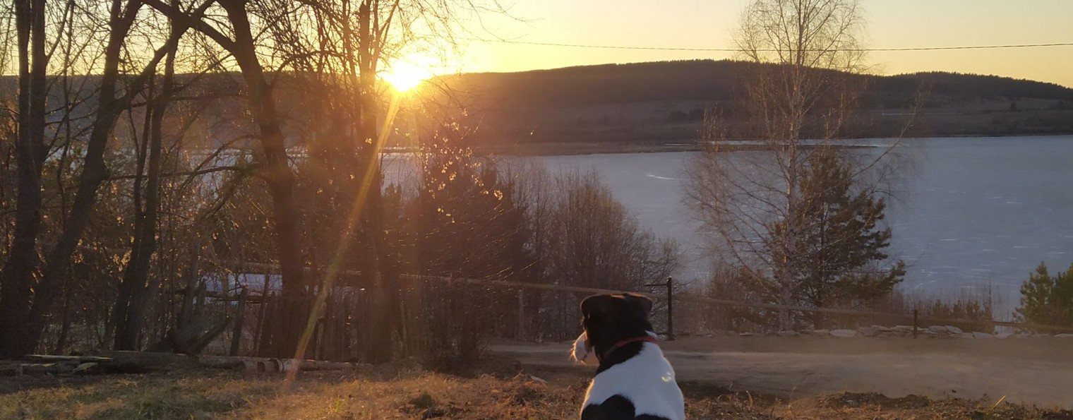 Сергей Евгеньевич,  меняет профессию!