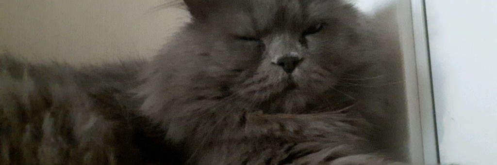 Эгбик, Брюсик и друзья (Cretacus Pmu)