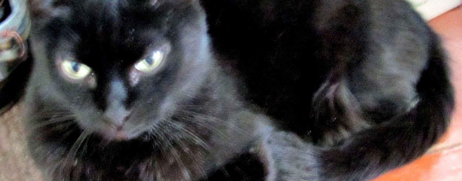 Лавка редкостей